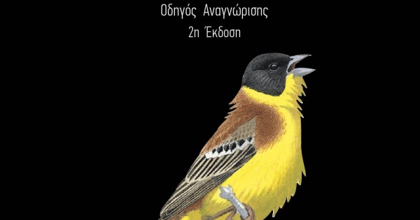 Τα πουλιά της Ελλάδας, της Κύπρου και της Ευρώπης (2η έκδοση) | Μουσείο ...