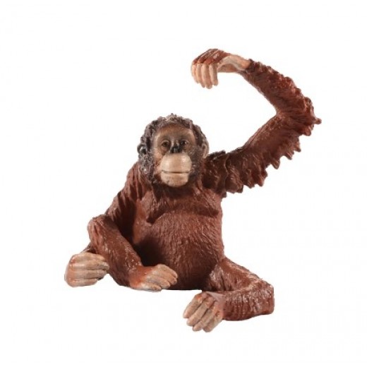 Μινιατούρα ζώου Ουρακοτάγκος - Μουσείο Φυσικής Ιστορίας Μετεώρων και ...