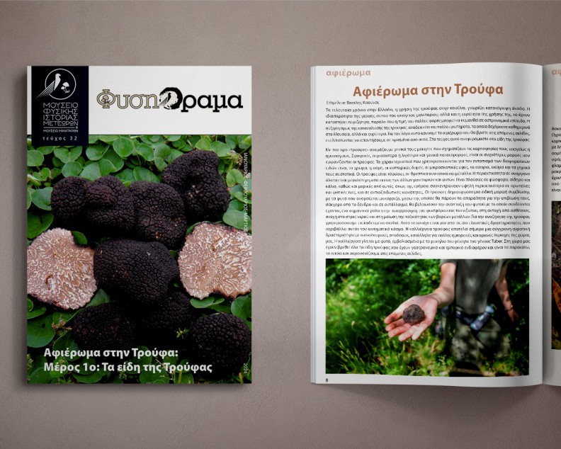 Κυκλοφόρησε το 32ο Τεύχος του περιοδικού ΦυσηΌραμα - Μουσείο Φυσικής ...