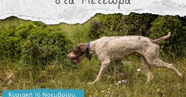 Κυνήγι Τρούφας Κυριακή 16 Νοεμβρίου 2025