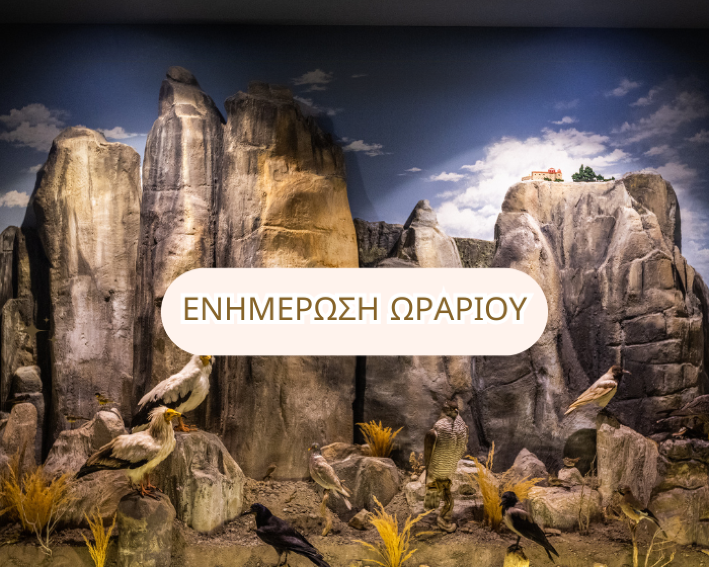 Ενημέρωση για το Ωράριο του Μουσείου | Μουσείο Φυσικής Ιστορίας ...