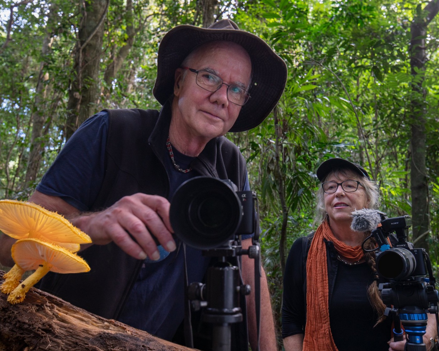 Το Κυνήγι Τρούφας στο Planet Fungi